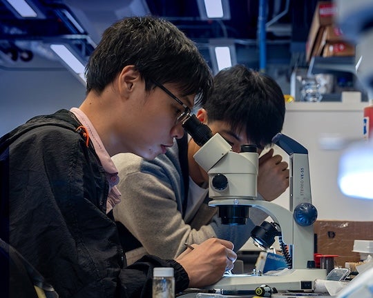 Rice physicists’ new lab focused on emergent magnetic materials, funded by Department of Energy ...